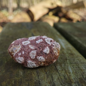 Amazing Porphyry Rock, Feldspar Crystals Pattern - Etsy