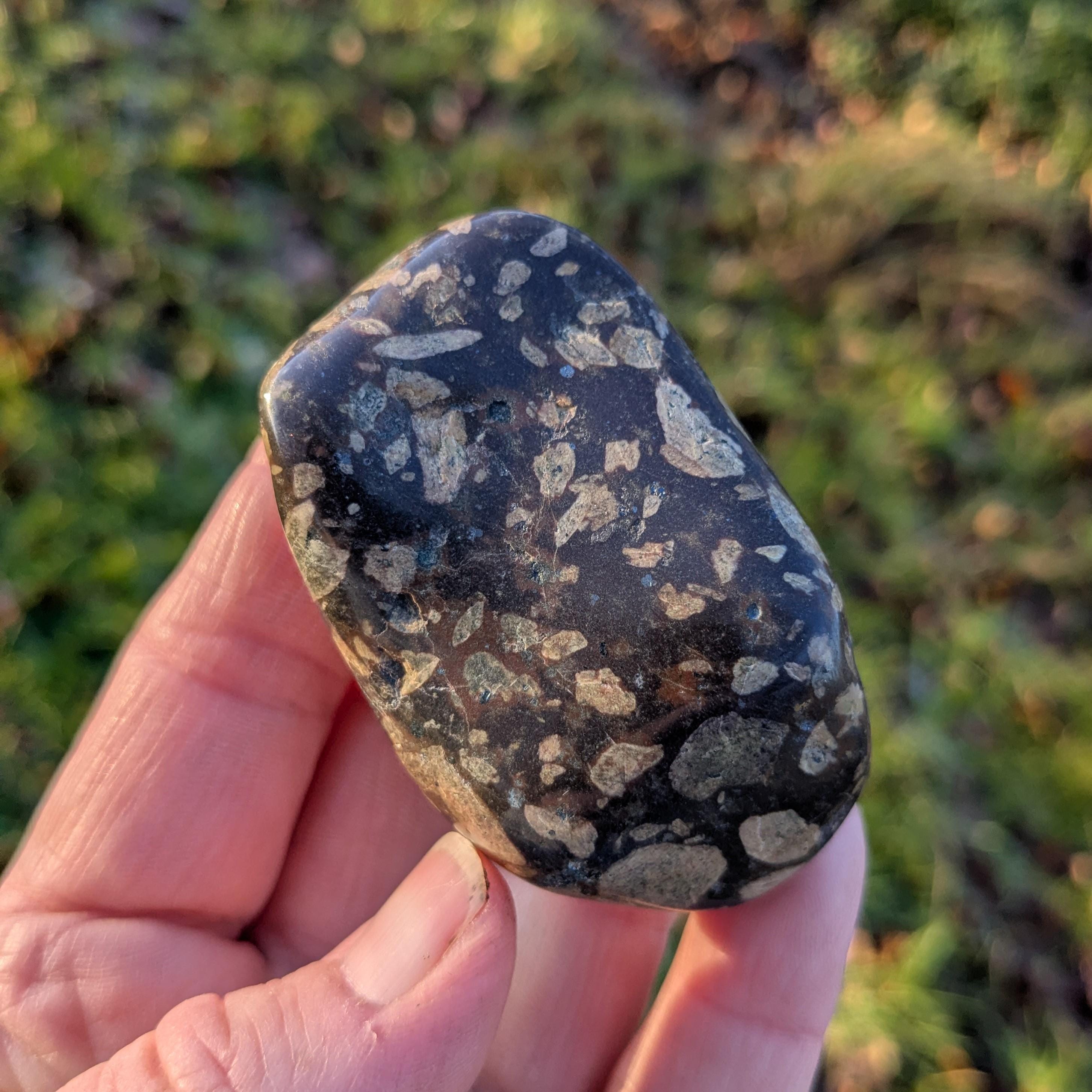 Thick Polished Porphyry With Big Crystals, Cross-like Feldspar Crystals ...