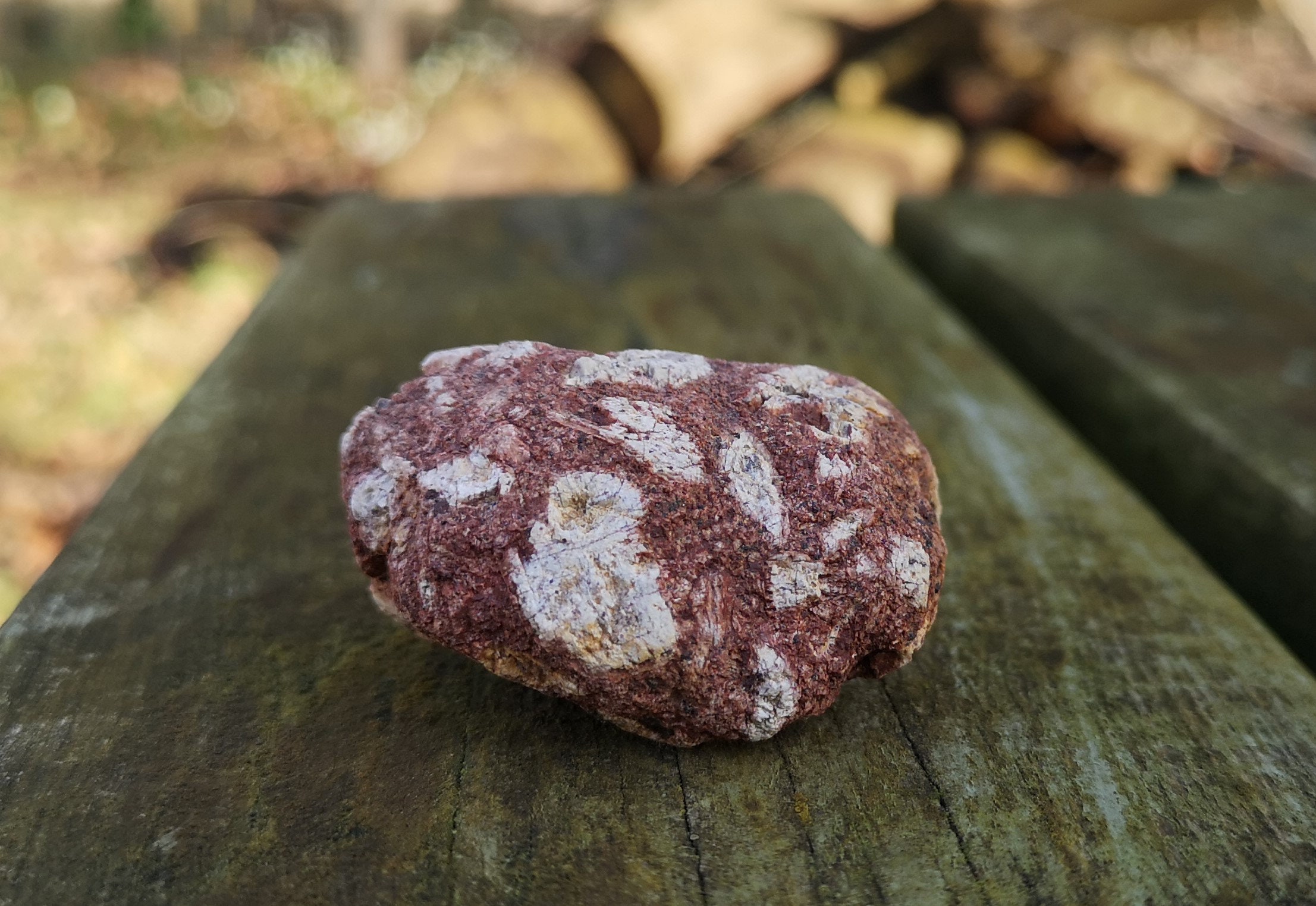 Amazing Porphyry Rock, Feldspar Crystals Pattern - Etsy