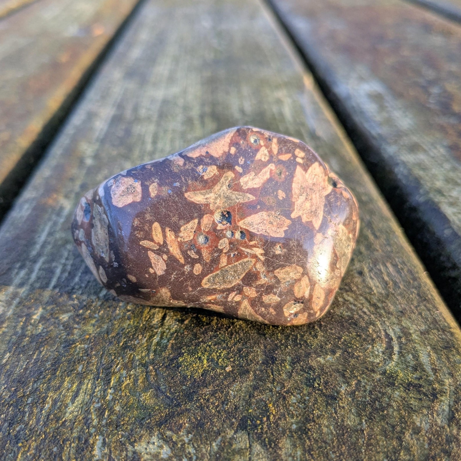 Thick Polished Porphyry With Big Crystals, Cross-like Feldspar Crystals ...