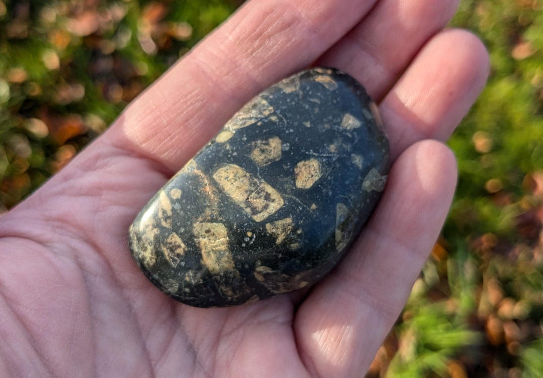 Tumbled Black Porphyry With Light Brown Alkali Feldspar Crystals ...