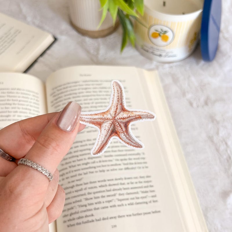 Starfish Sticker - Etsy