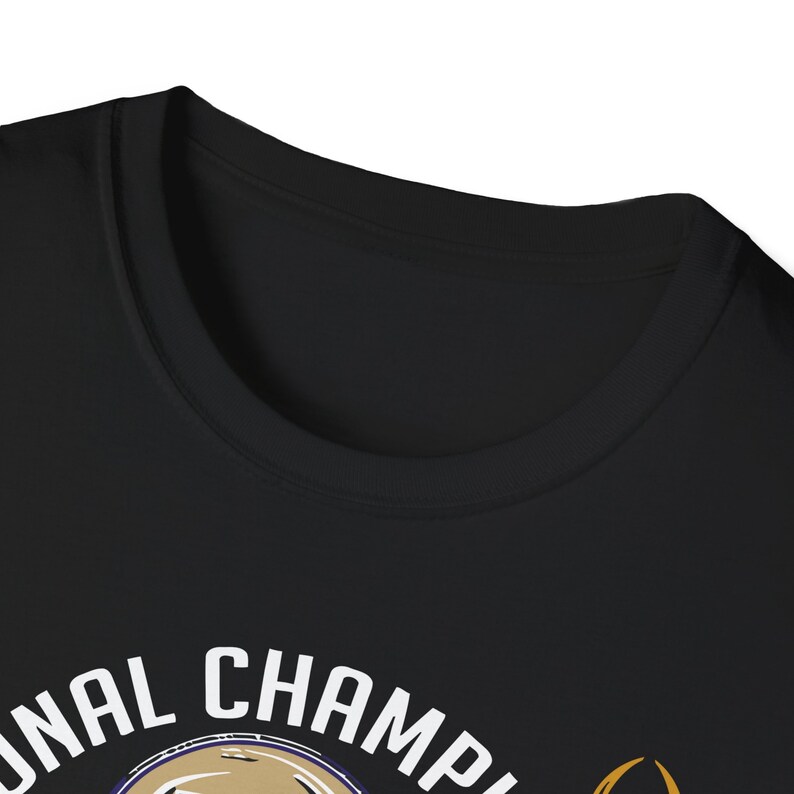 Washington Huskies 2024 CFP National Championship Arch T-shirt ...