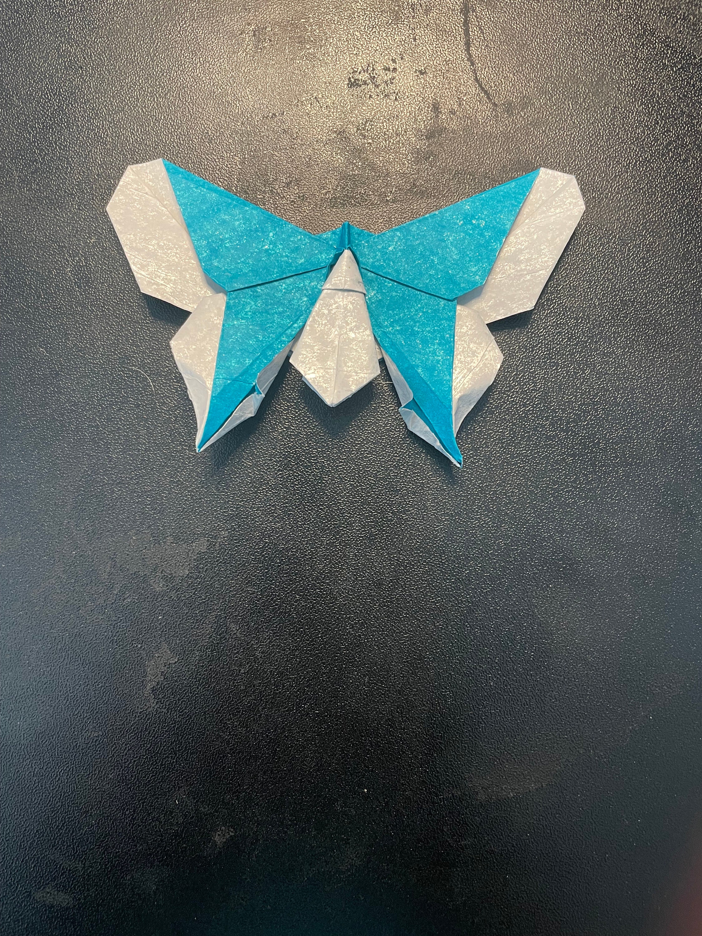 Origami Moth Tipped-wings - Etsy