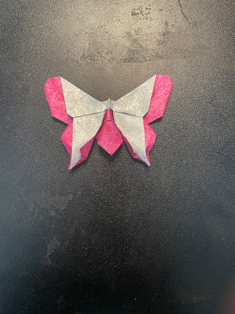 Origami Moth Tipped-wings - Etsy