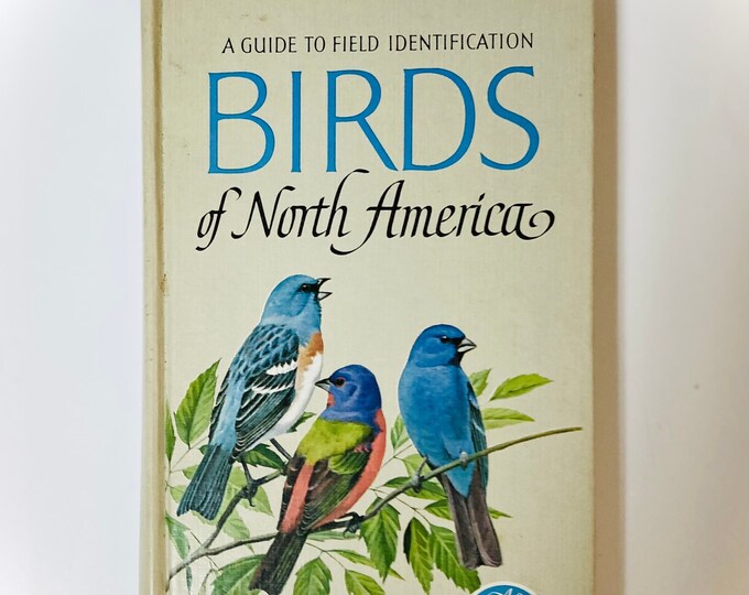 A Guide to Field Identification Birds of North America by Chandler ...