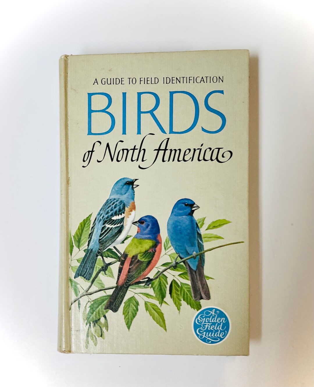A Guide to Field Identification Birds of North America by Chandler ...