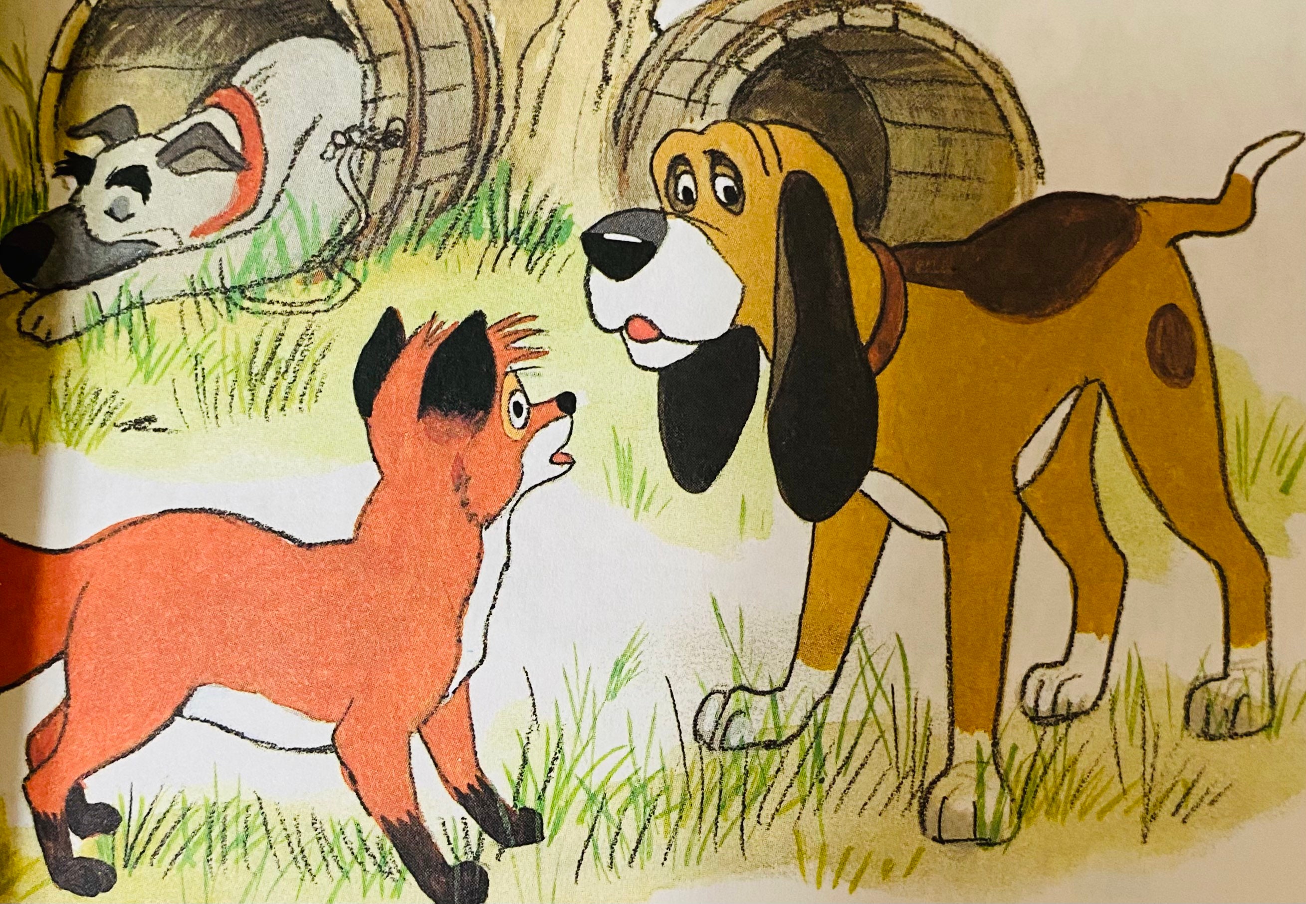 Disneys Tod and Copper From the Fox and the Hound Hardcover - Etsy