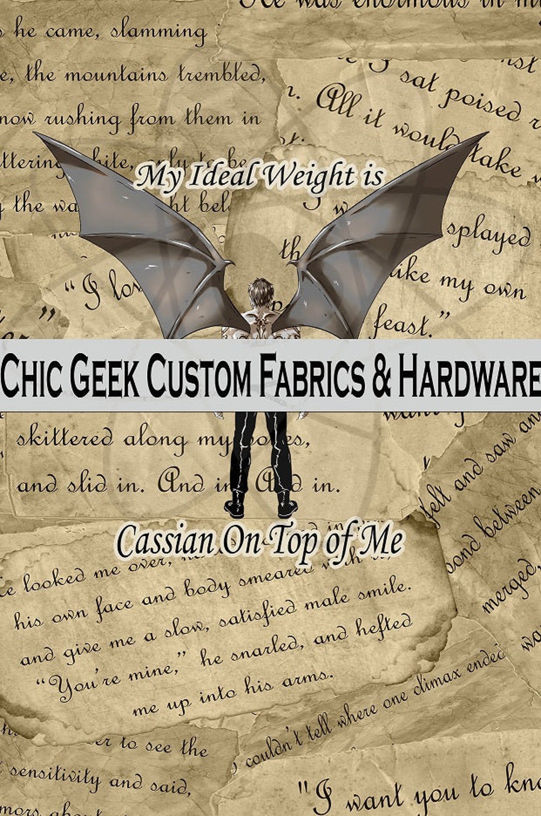 ACOTAR Cassian Panel quotes SJM - Etsy