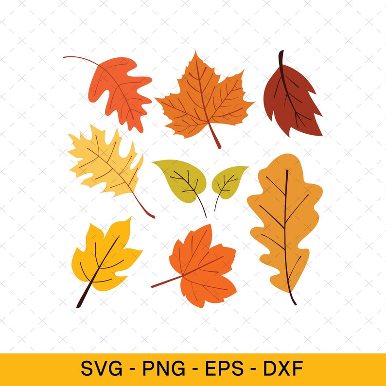 Fall Leaves Svg, Fall Svg, Fall Leaf Svg Bundle, Fall Png, Dxf, Clipart ...