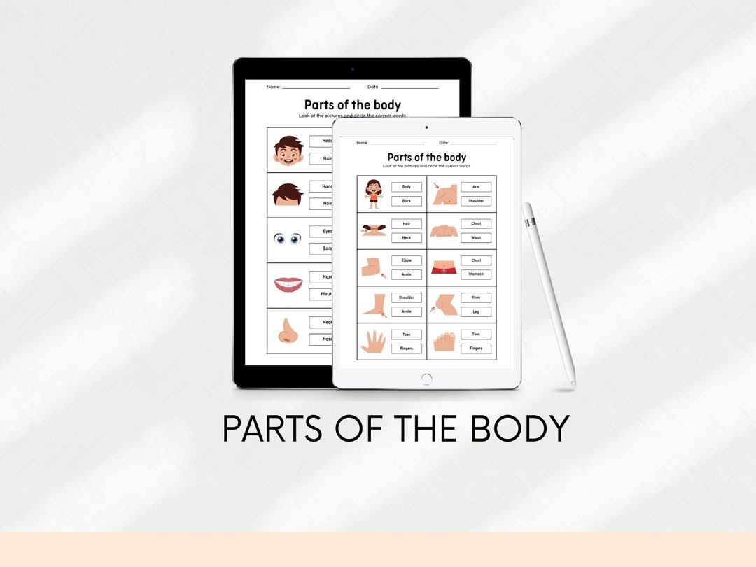 Sparts of the Body Science Worksheet for Kids - Interactive Learning ...
