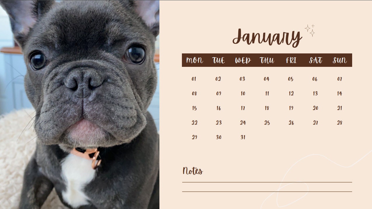 2024 Frenchie Calendar - Etsy