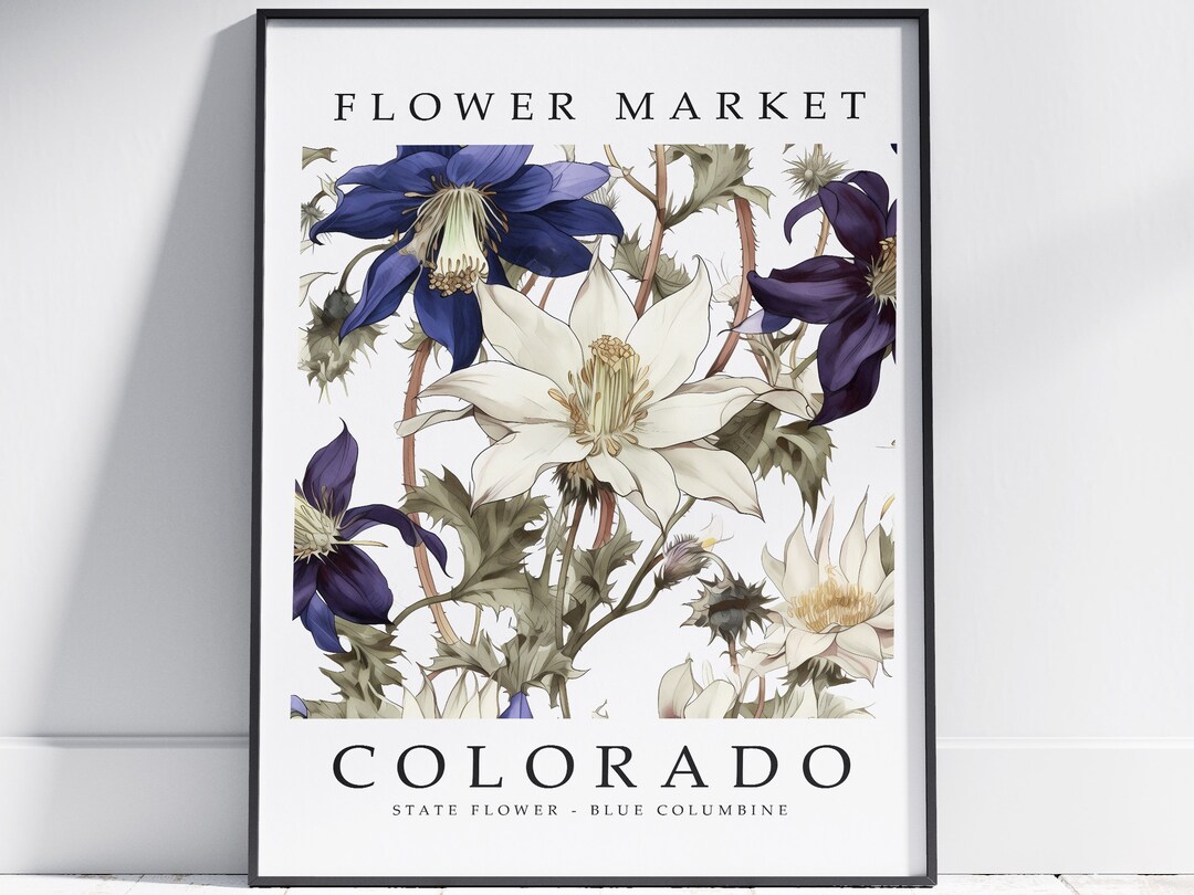 COLORADO STATE FLOWER | Flower Market | Botanical - Etsy
