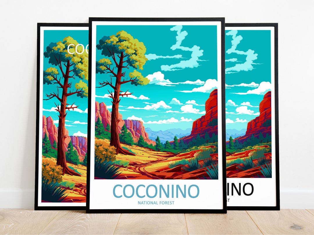 Coconino Travel Print Art Coconino Poster National Forest Wall Art ...