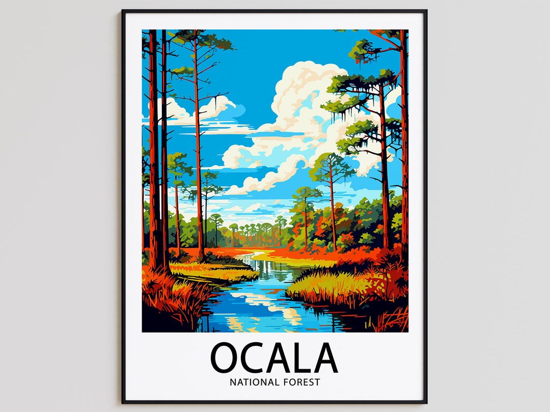 Ocala Travel Poster Ocala Print National Forest Art Print - Etsy