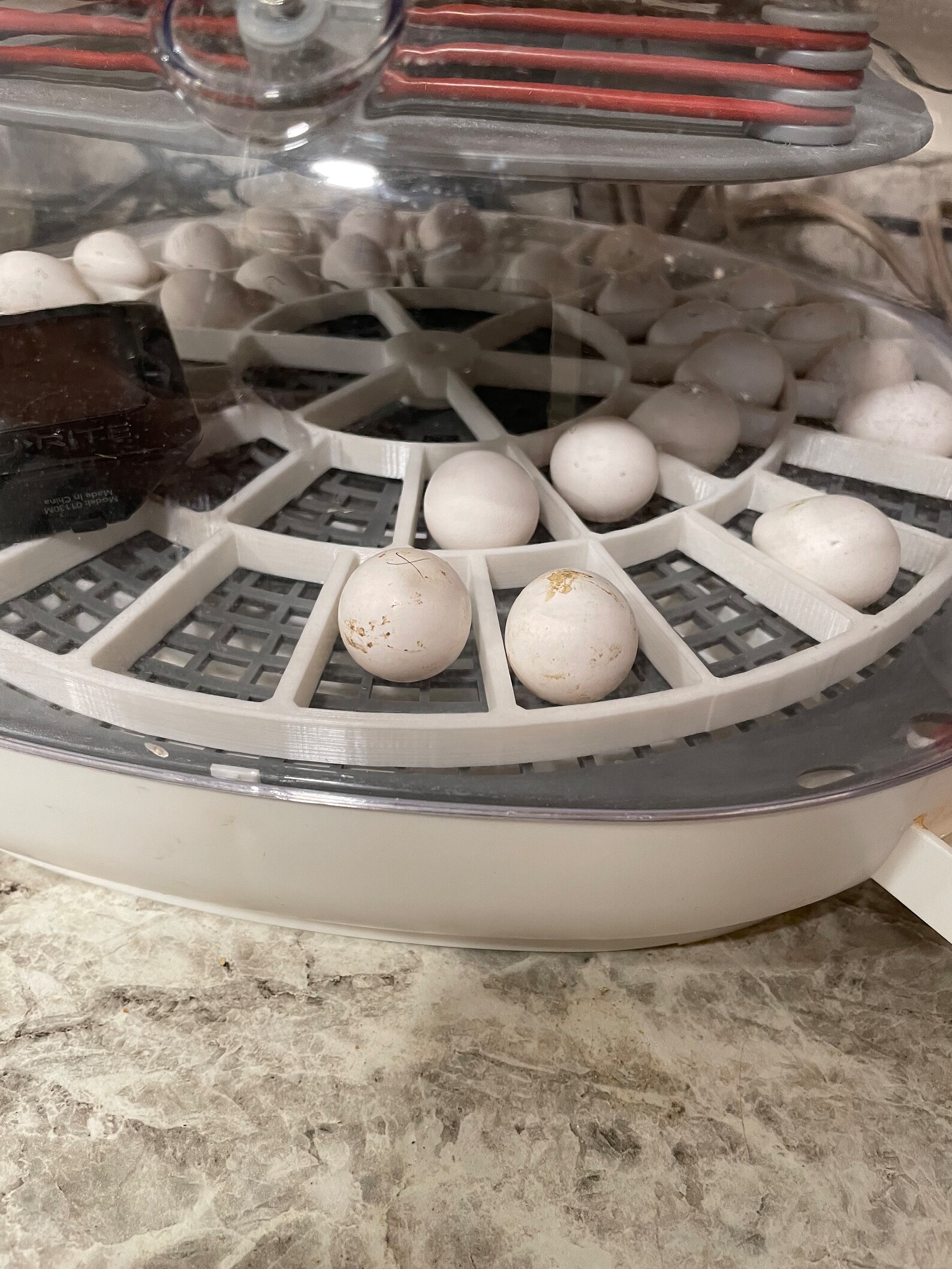 Quail Egg Turner for Nurture Right 360 Incubator Tray for Cotournix ...