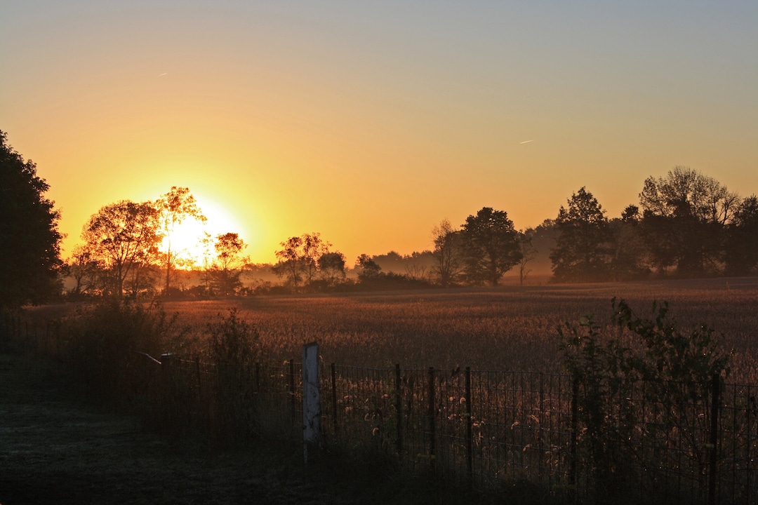 Sunrise Over a Bean Field in Central Indiana - Etsy