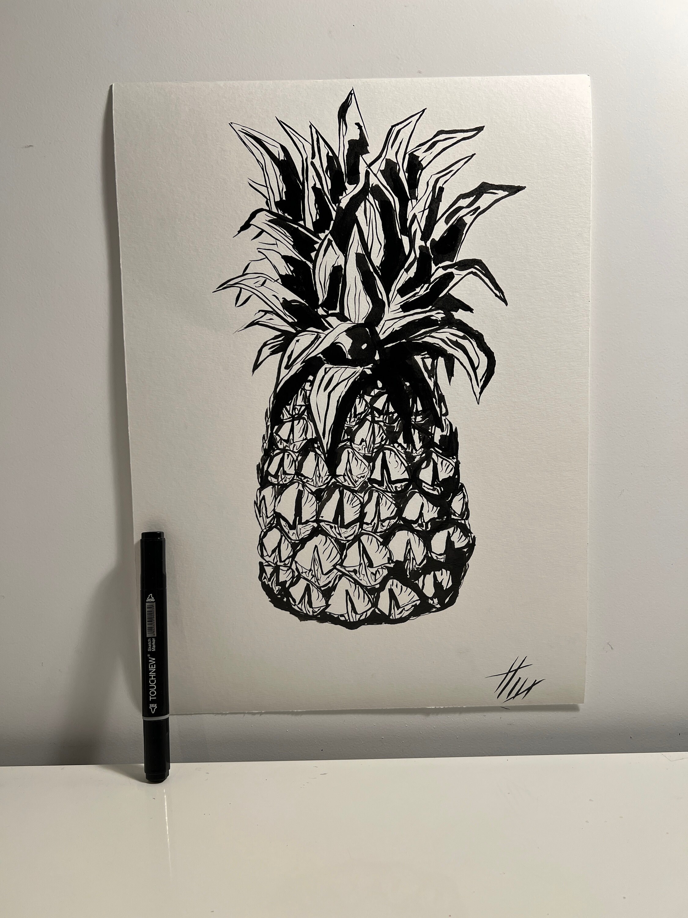 Simple Pineapple Sketch