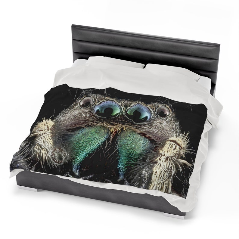 Spider Throw Blanket, Macro Spider Gag Gift, Minky for Spider Lover ...