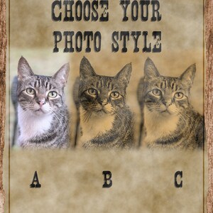 Custom Cat Wanted Poster PDF | Not an Instant Download | Not an ...