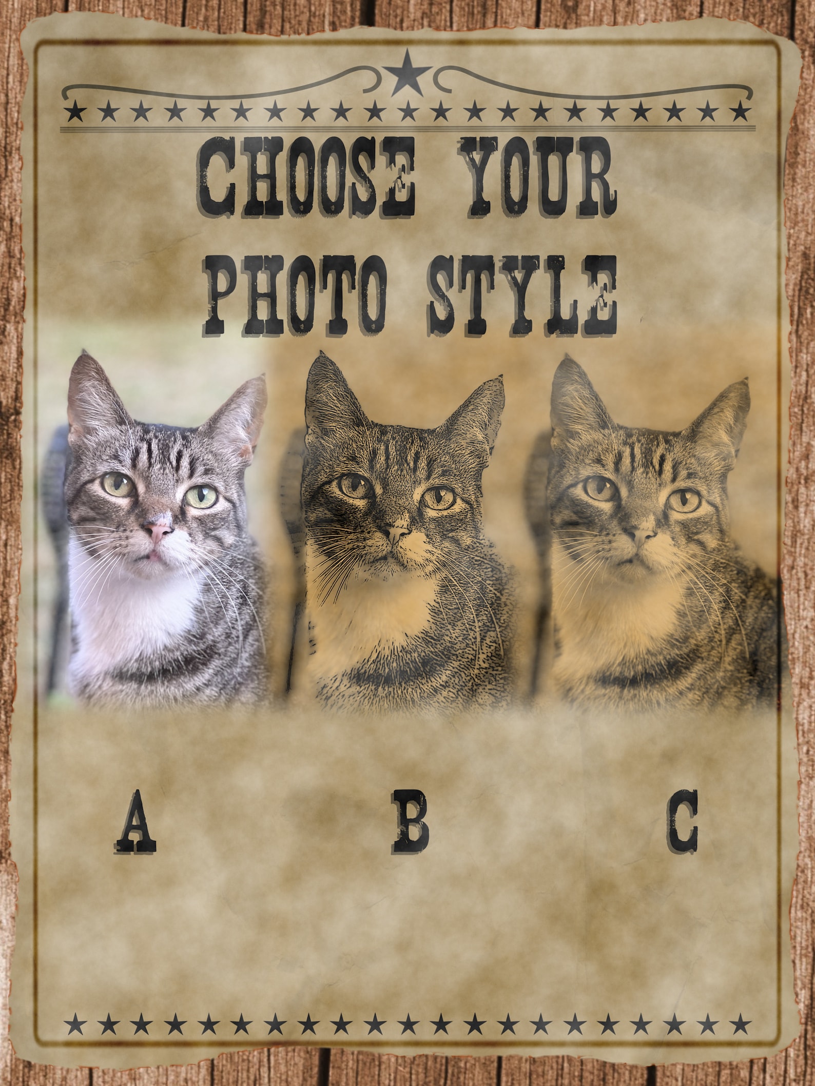 Custom Wanted Poster for 2 Cats PDF | Not an Instant Download | Not an ...