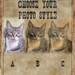 Custom Wanted Poster for 2 Cats PDF | Not an Instant Download | Not an ...