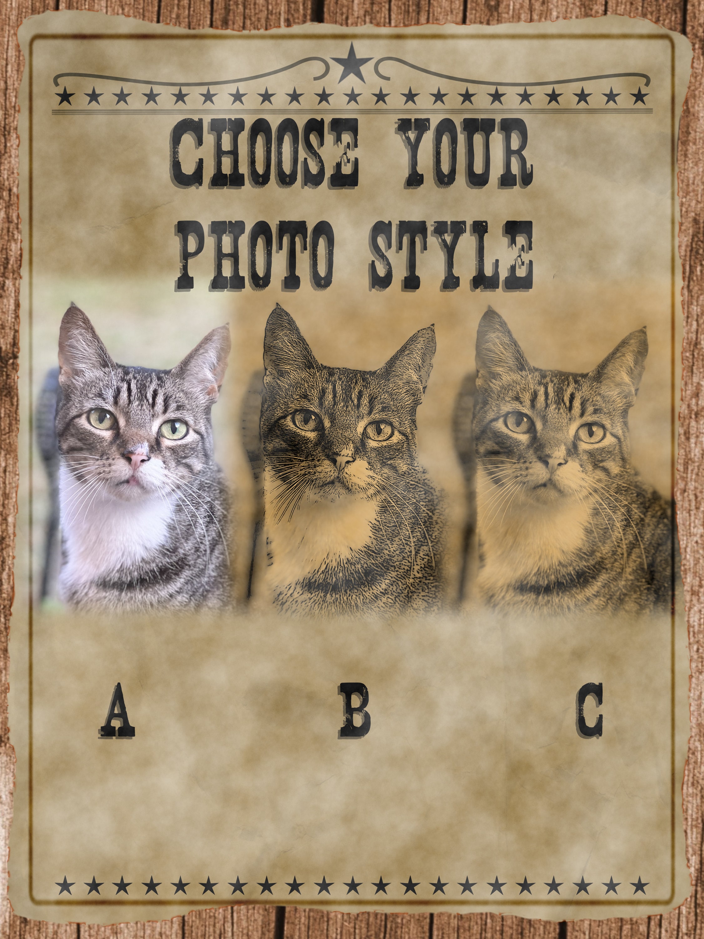 Custom Wanted Poster for 2 Cats PDF | Not an Instant Download | Not an ...