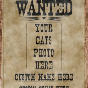 Custom Cat Wanted Poster PDF | Not an Instant Download | Not an ...