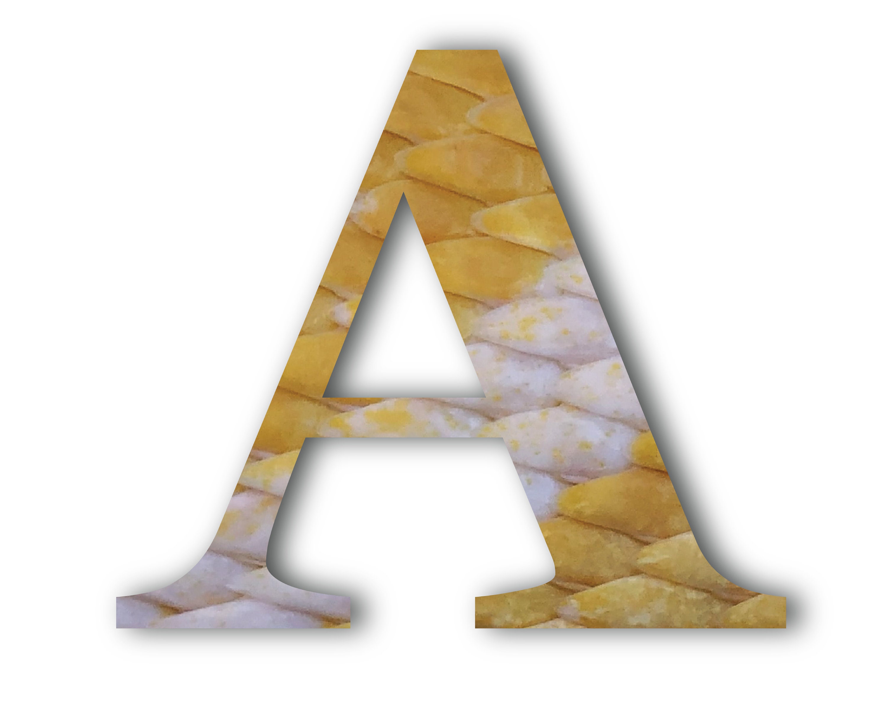 Yellow Snakeskin Clipart Letters PNG Digital Download Complete ...