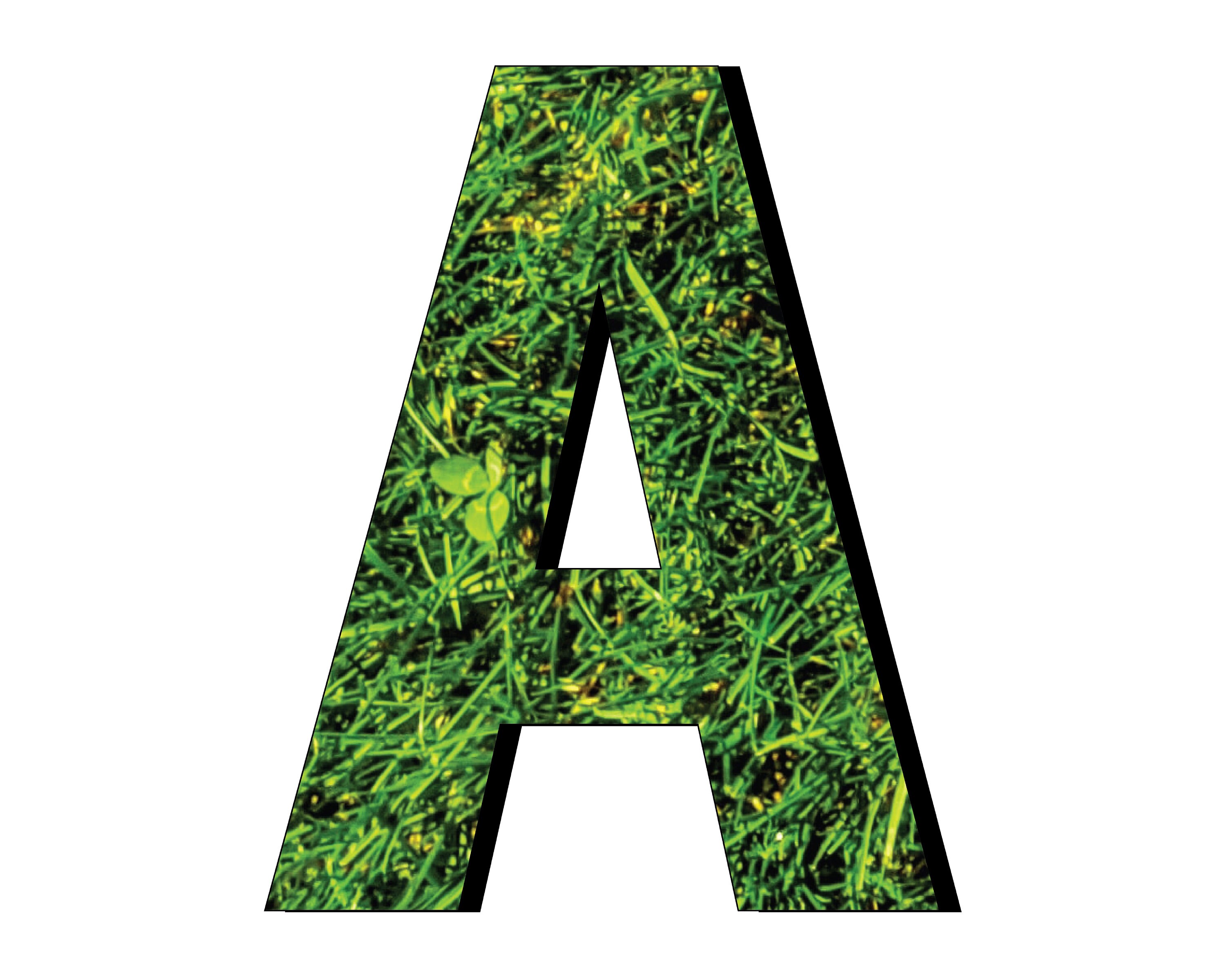 Grass Clipart Letters PNG Digital Download Complete Alphanumeric Set - Etsy