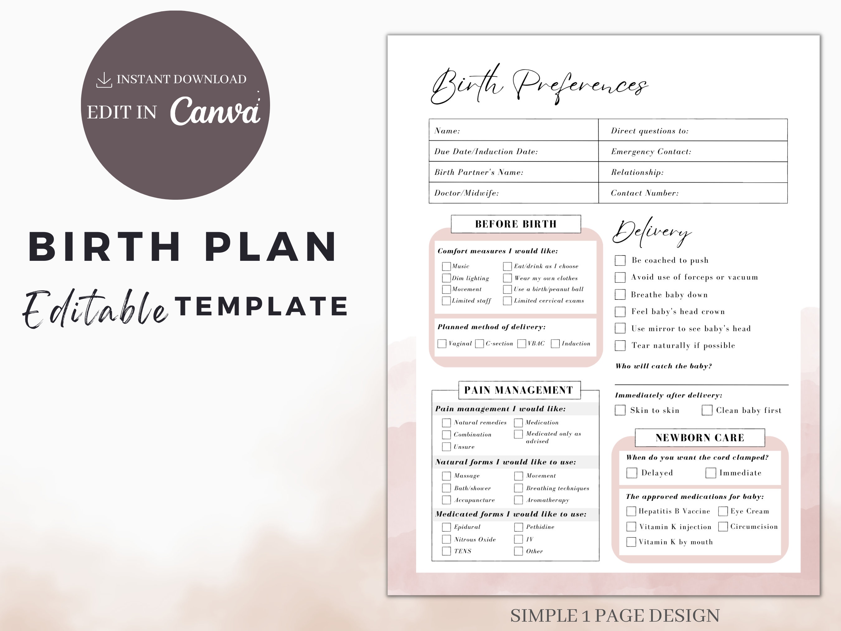 Editable Birth Plan Template, Single Page, Editable Canva Template ...