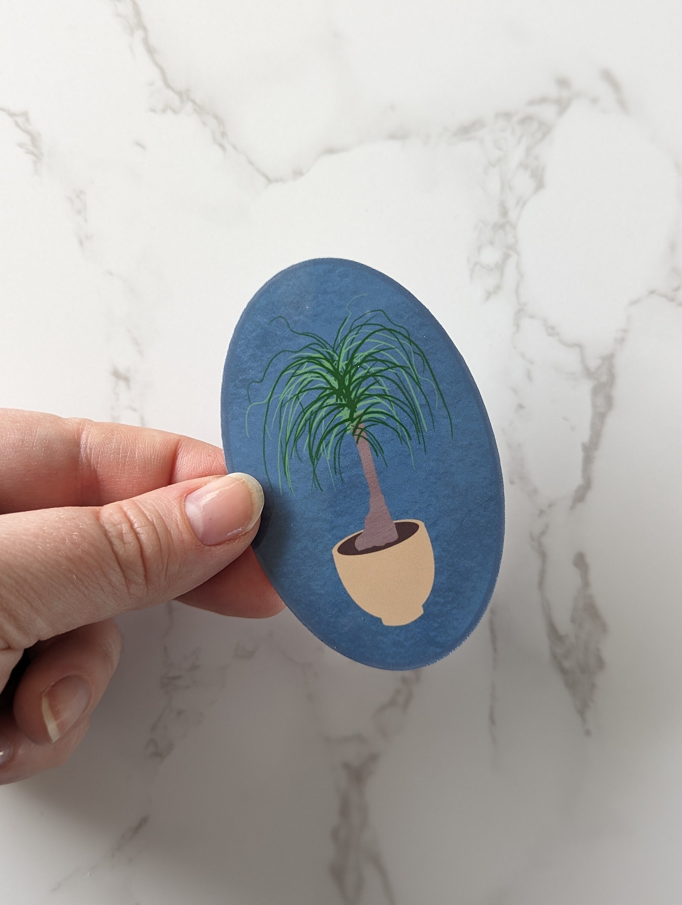 Ponytail Palm Sticker, Cat-friendly House Plant Sticker, Vinyl Stickers ...