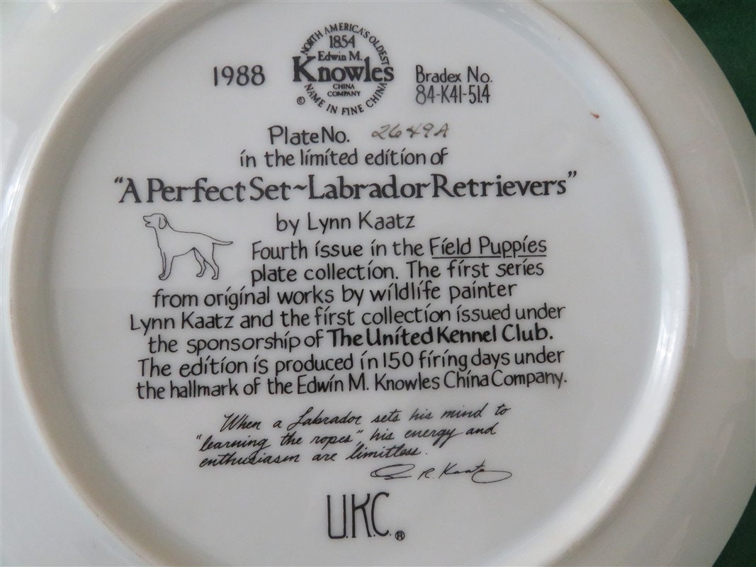Collector Plate Labrador Retrievers Plate Field Puppies Lynn - Etsy