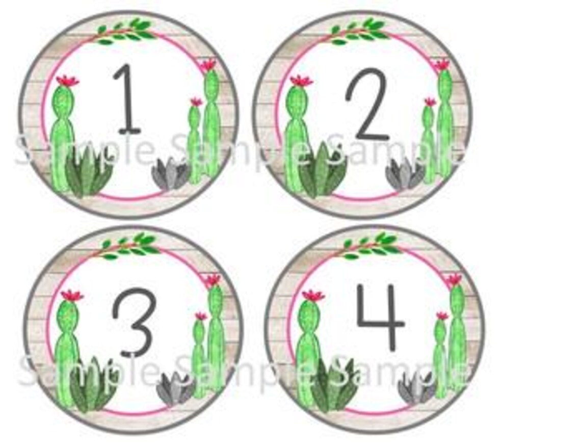 Cactus Decor, Cactus Numbers, 2 Sizes, Watercolor Cactus, Number Labels ...