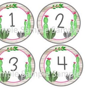 Cactus Decor, Cactus Numbers, 2 Sizes, Watercolor Cactus, Number Labels ...
