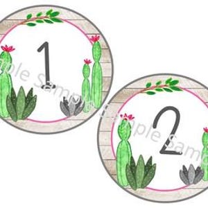 Cactus Decor, Cactus Numbers, 2 Sizes, Watercolor Cactus, Number Labels ...