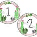 Cactus Decor, Cactus Numbers, 2 Sizes, Watercolor Cactus, Number Labels ...