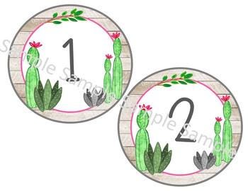 Cactus Decor, Cactus Numbers, 2 Sizes, Watercolor Cactus, Number Labels ...