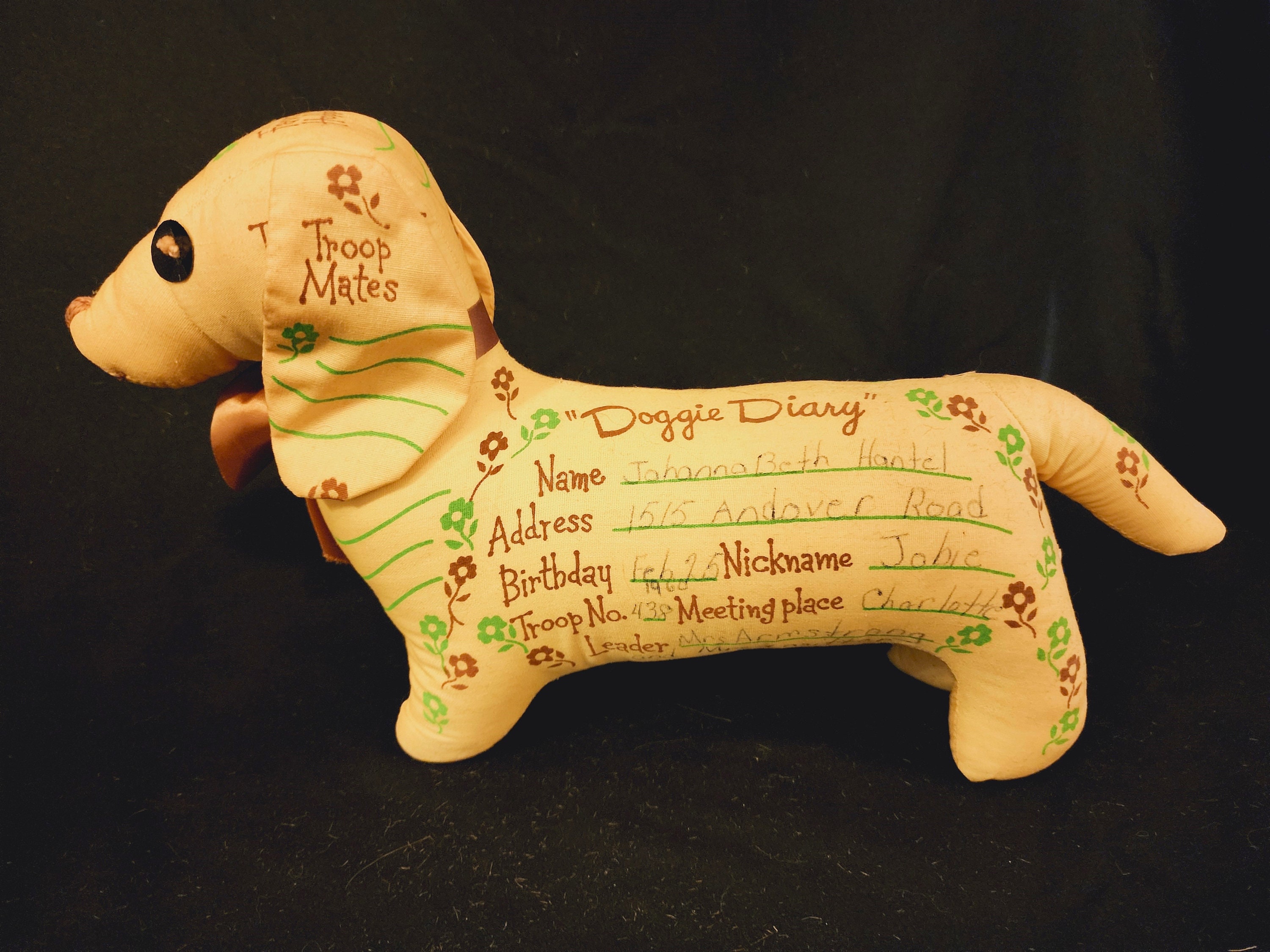 Vintage Girl Scout doggie Diary Signature Stuffed - Etsy