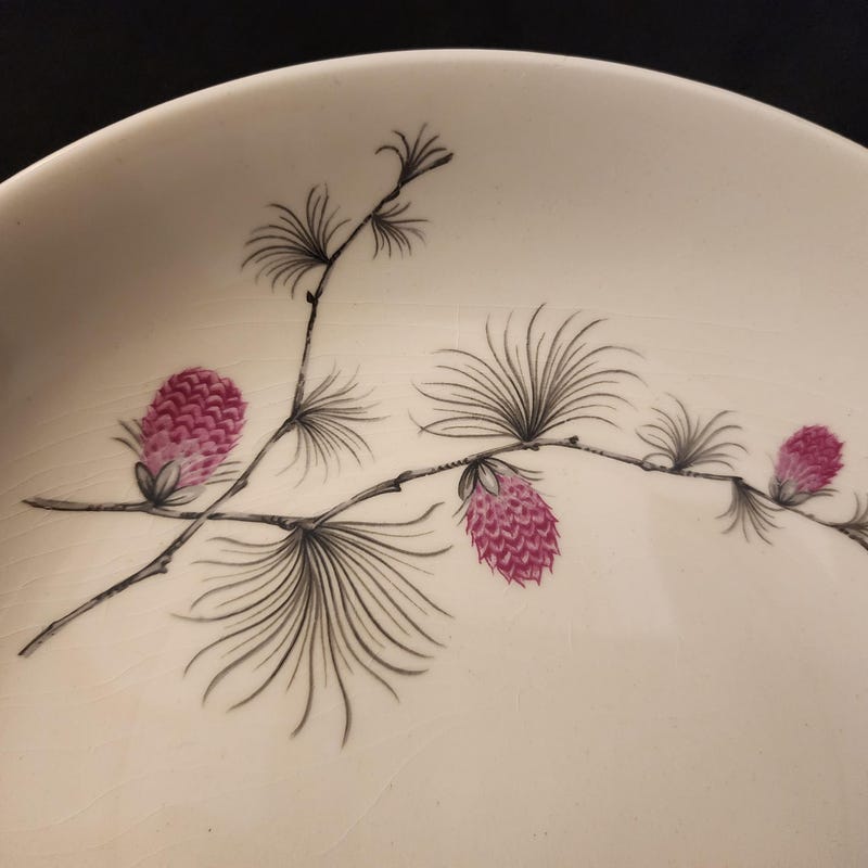 Vintage Canonsburg China - Etsy