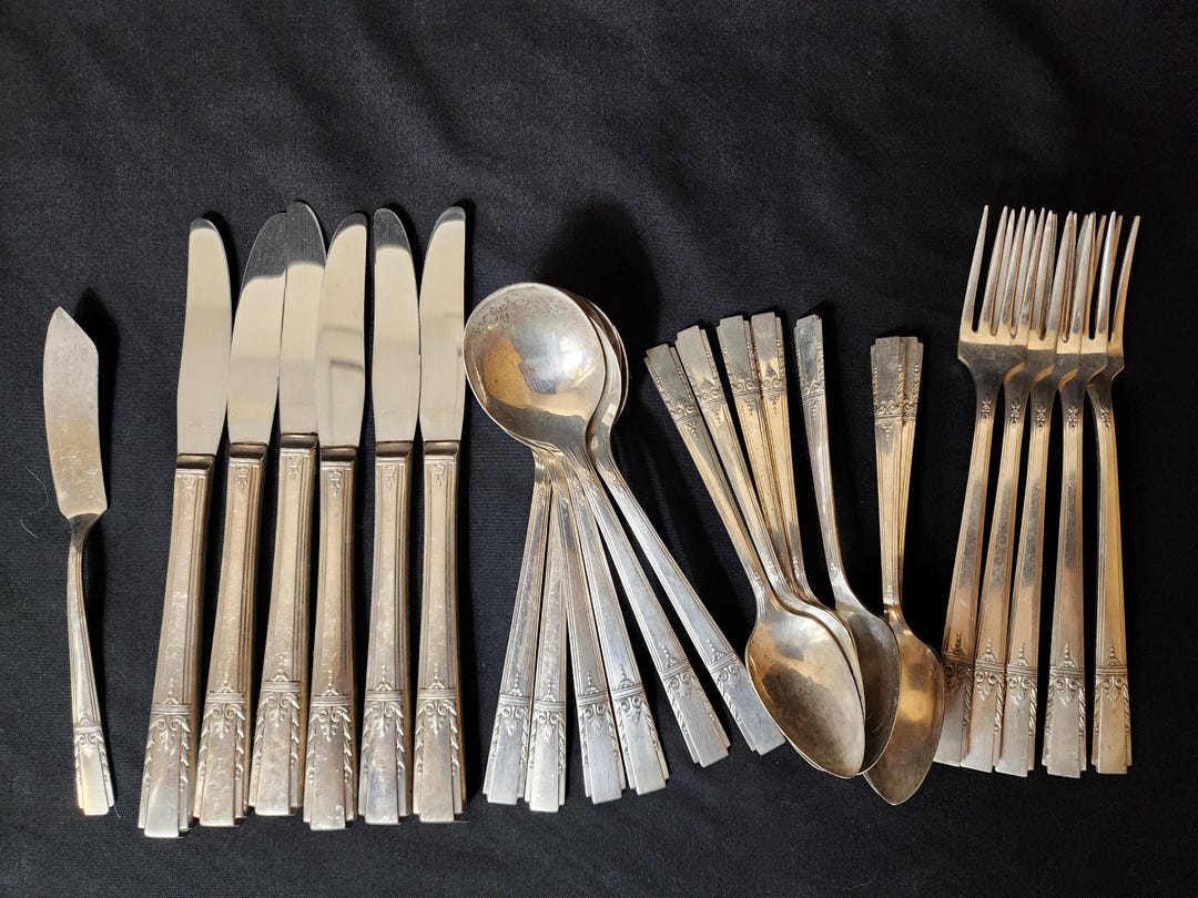 WM A Rogers AA Heavy Oneida Silver Plate “lady Drake” Pattern 26 Piece ...