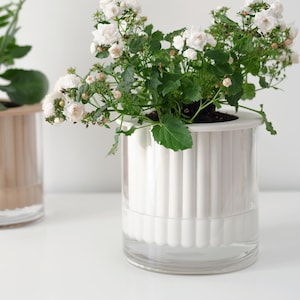 Float | Medium (6") Modern Self-watering Planter Pot With Glass Water ...