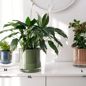 Float | Medium (6") Modern Self-watering Planter Pot With Glass Water ...