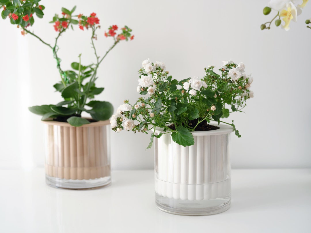 Float | Medium (6") Modern Self-watering Planter Pot With Glass Water ...