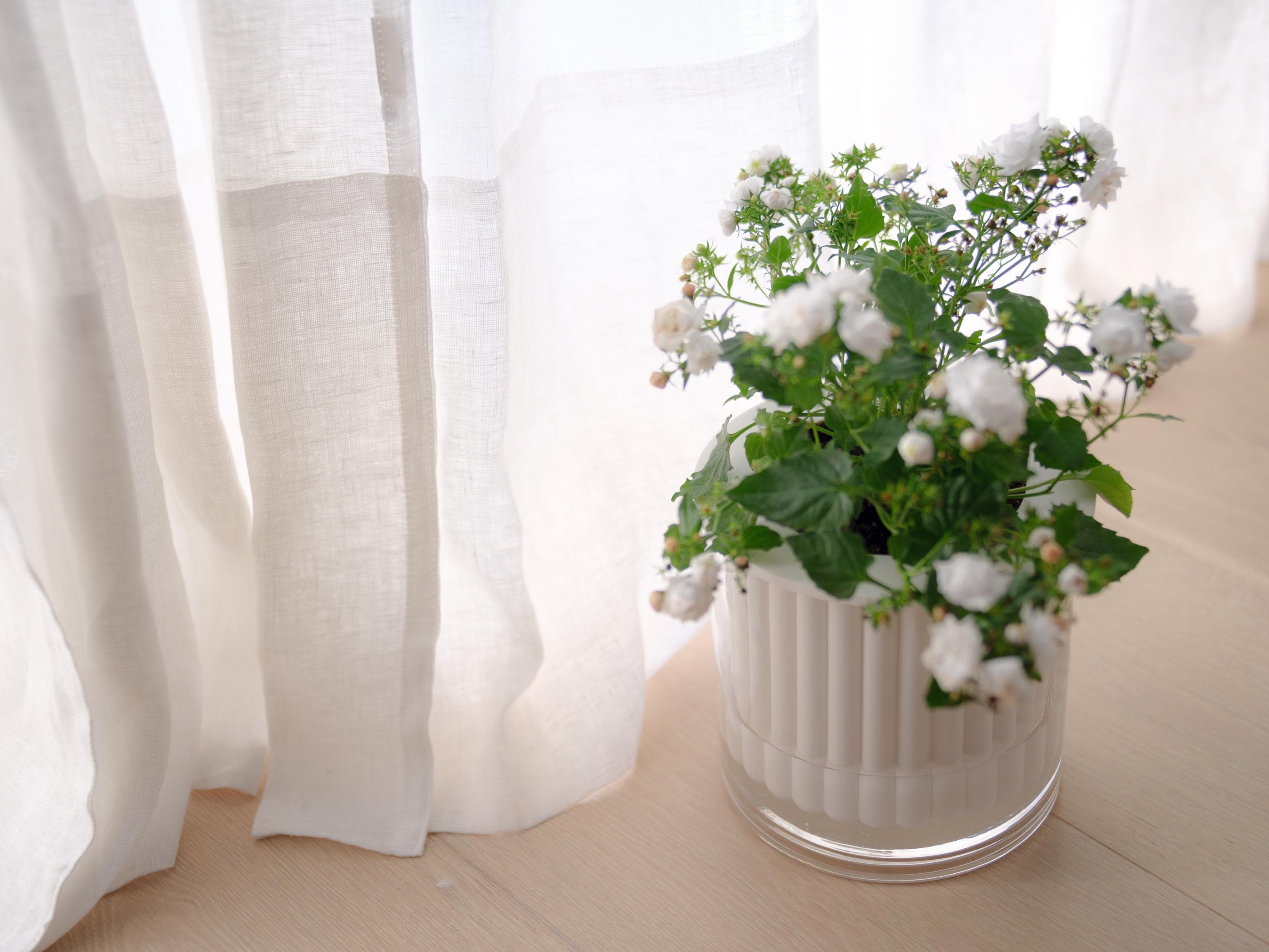 Float | Medium (6") Modern Self-watering Planter Pot With Glass Water ...