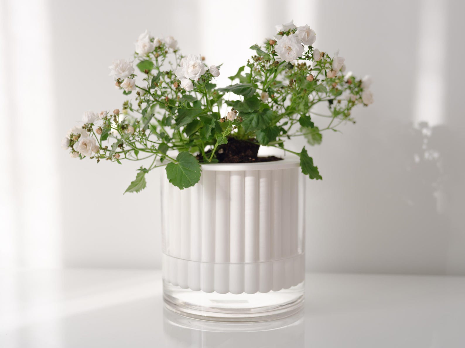 Float | Medium (6") Modern Self-watering Planter Pot With Glass Water ...