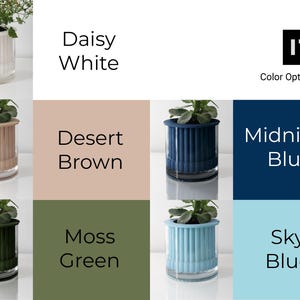 Float | Medium (6") Modern Self-watering Planter Pot With Glass Water ...