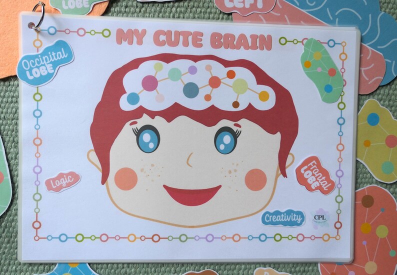 Human Brain Busy Book, Learn Brain Anatomy, Learn Brain Parts, Lobes of ...