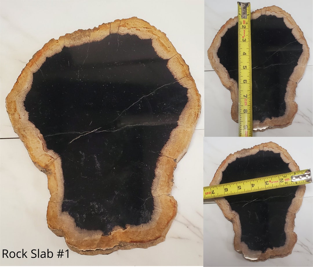 Set of 3 Hanging Slabs of Petrified Wood. Pick 3 Different Slabs ...