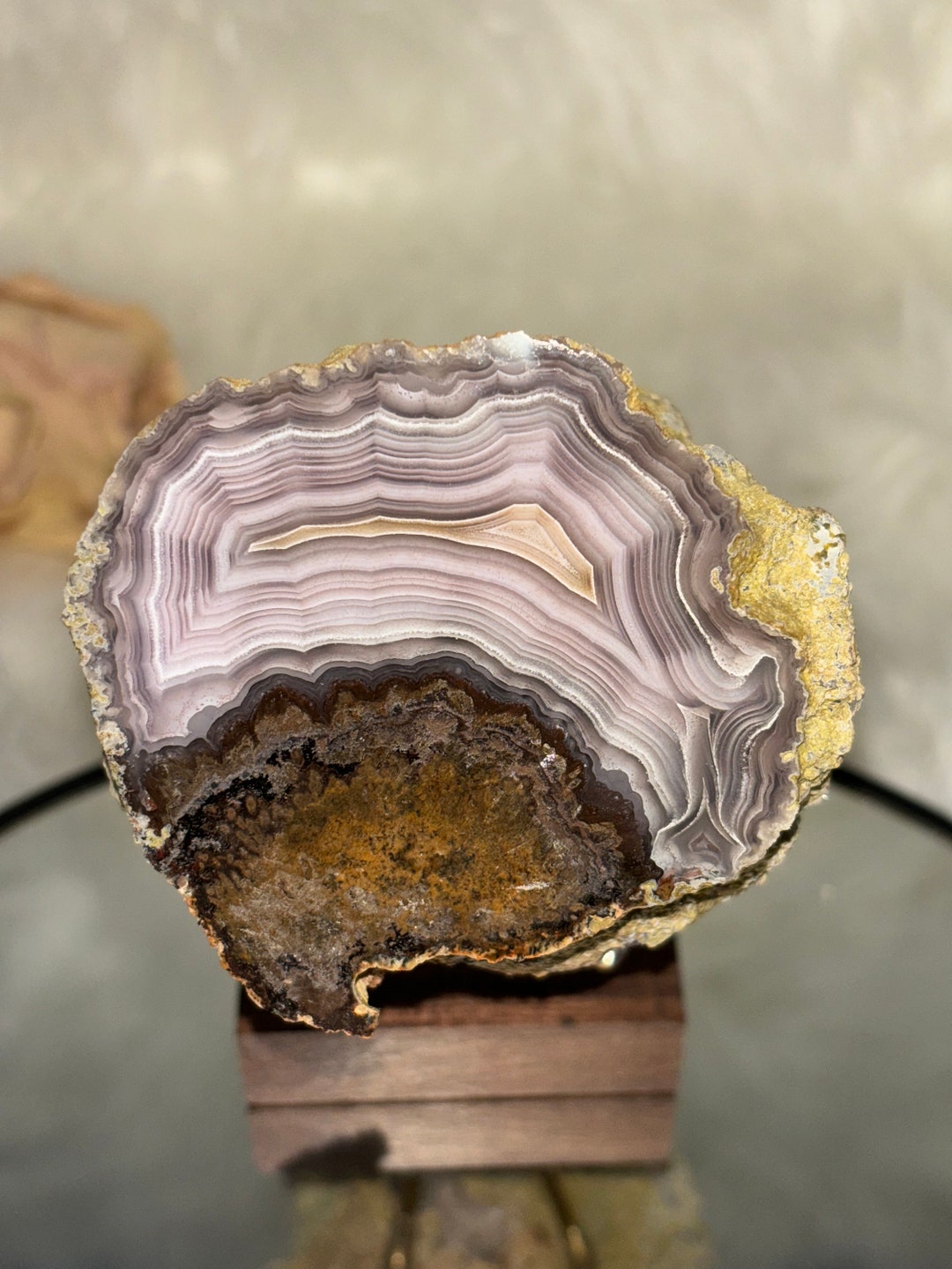 Laguna Agate, Agates From Mexico, Coyamito Agate, Collector Agates ...